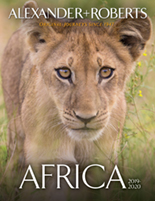 Small Group Tours, Small Ship Cruises, Private Tours