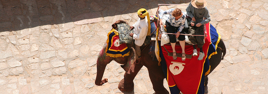 Current Tours + Cruises Offers and Deals | Alexander + Roberts